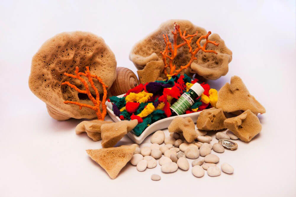 seasponges-art-craft - Sea Sponge
